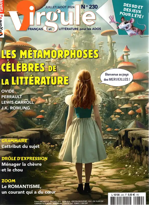 Abonnement Magazine - Virgule - Livraison Offerte en Belgique
